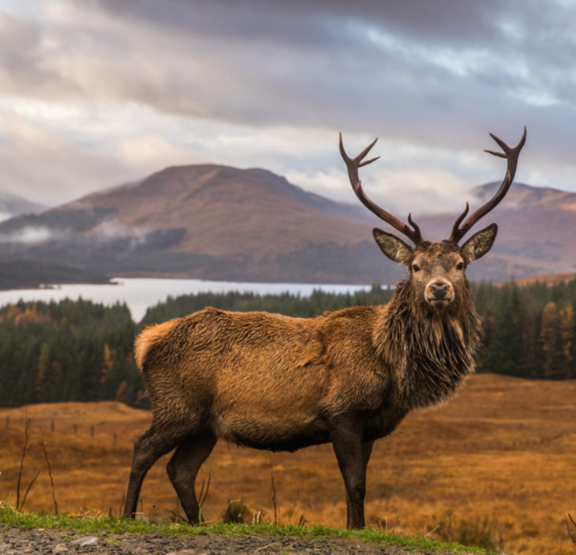 Autumn City Breaks in Inverness, Scotland | Ness Walk