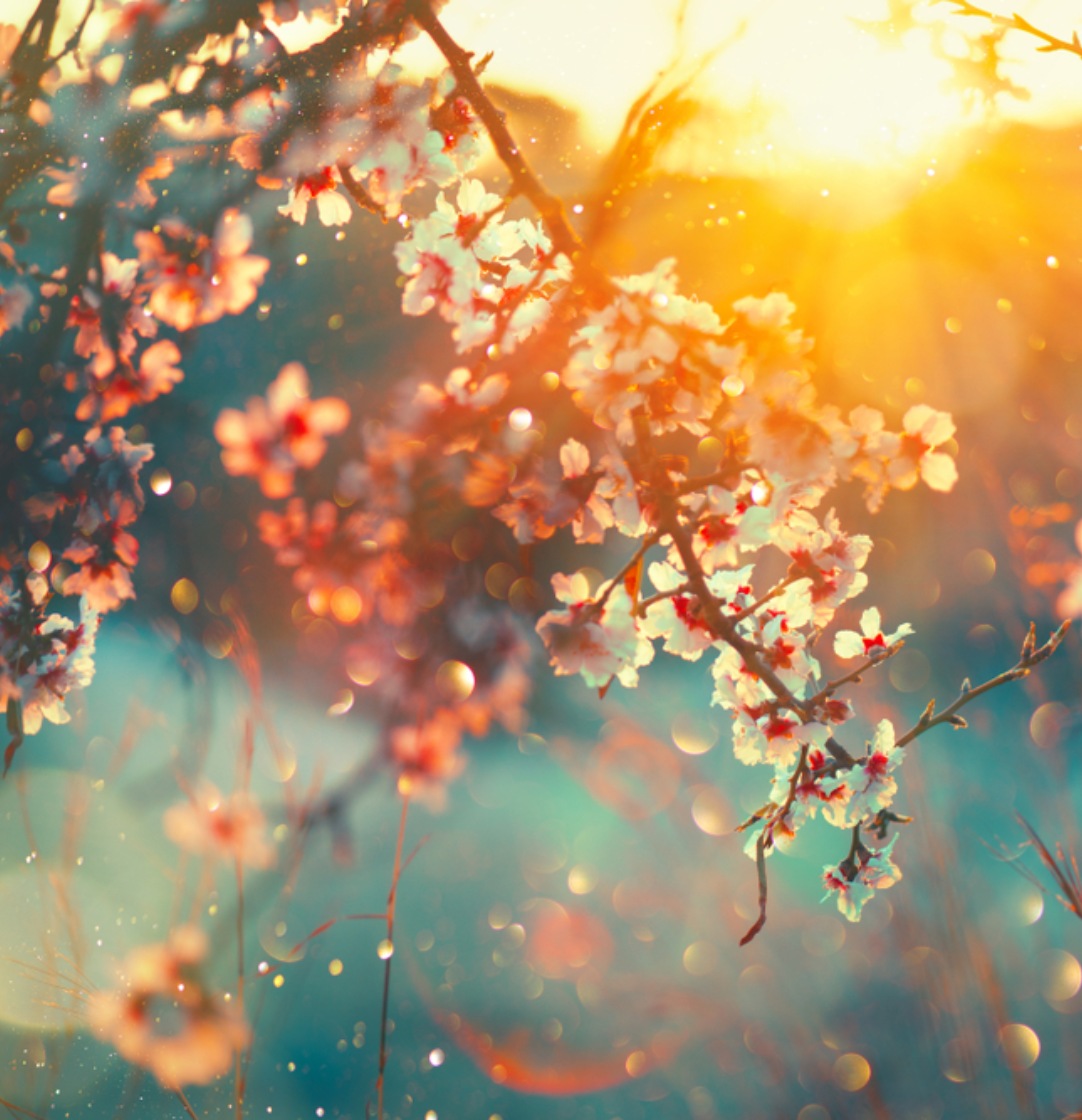 Spring Break Deals in Inverness Scotland | Ness Walk