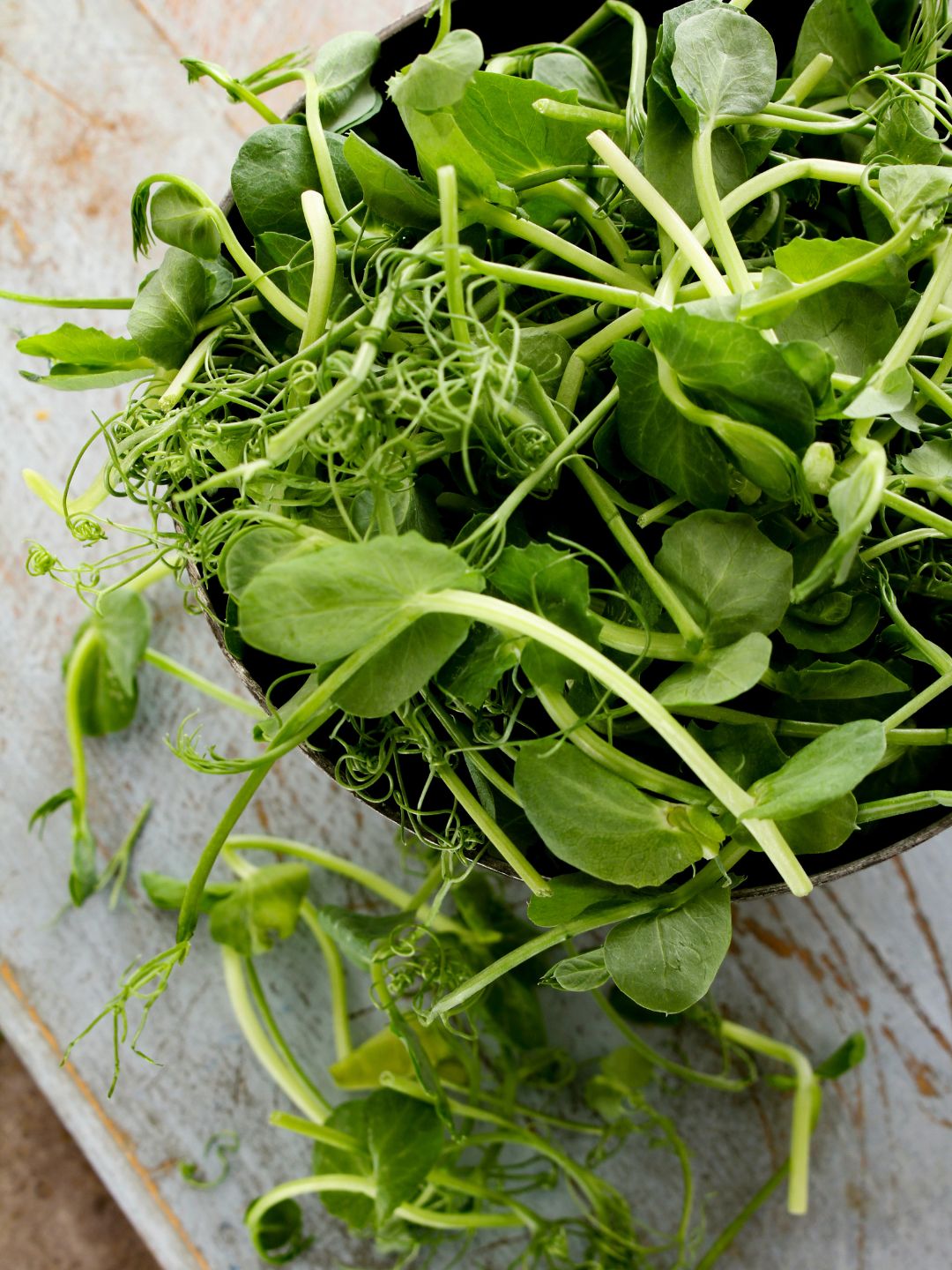 Torrish Supper Club - 5 star culinary adventure | Ness Walk Hotel